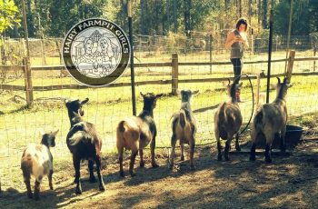 The Goats – Hairy Farmpit Girls